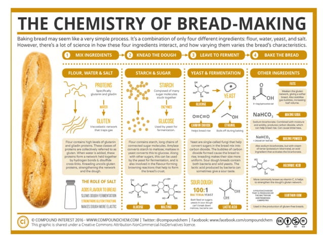 Bread and baked products | PDF | Nutrition | Healthy Living
