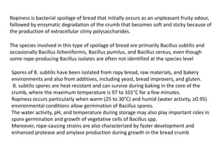 Bread and cheese | PPT