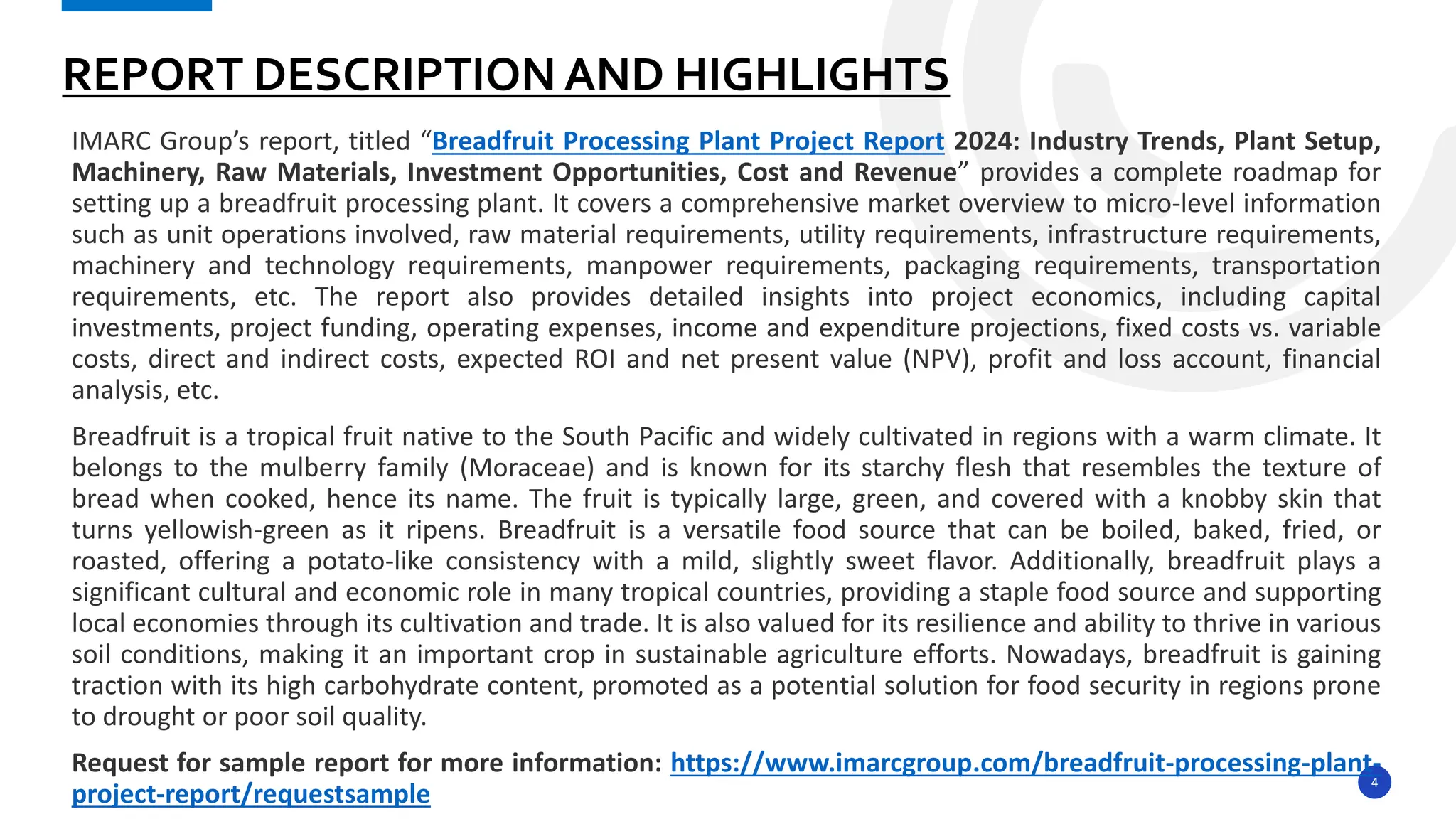 Breadfruit Processing Plant Project Report 2024 | PPTX