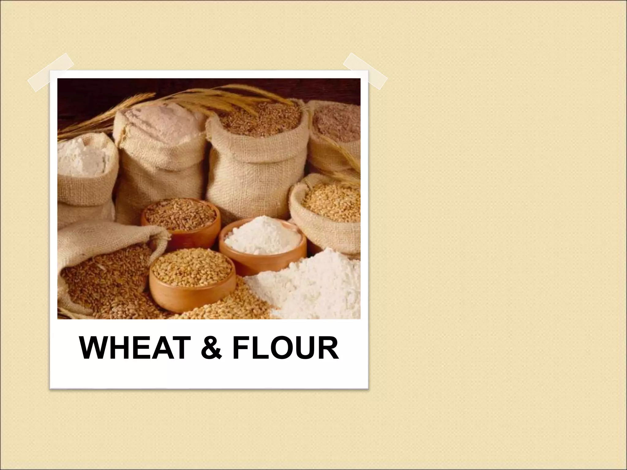 Bread technology | PPT