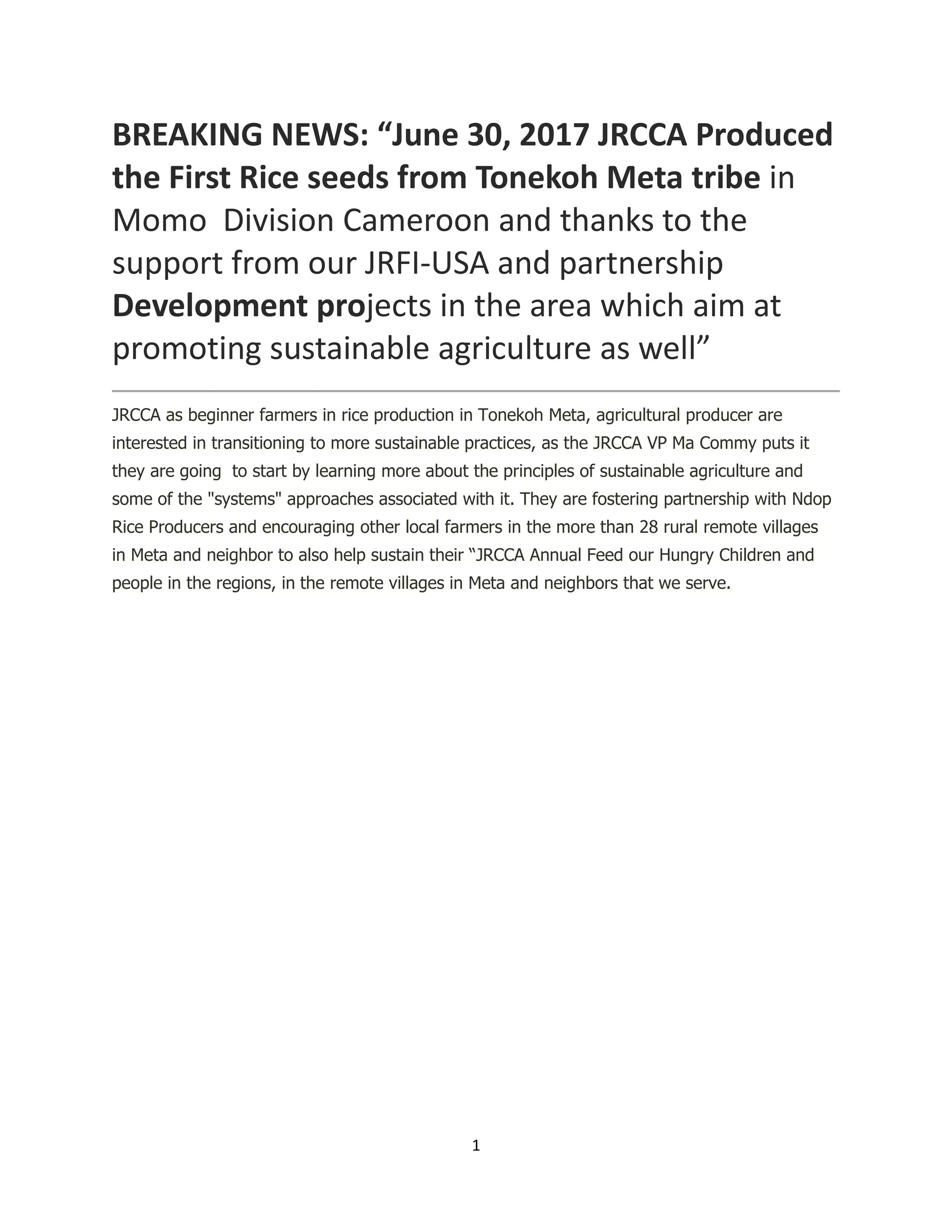 Breaking news first rice grown in tonekoh meta momo division cameroon ...