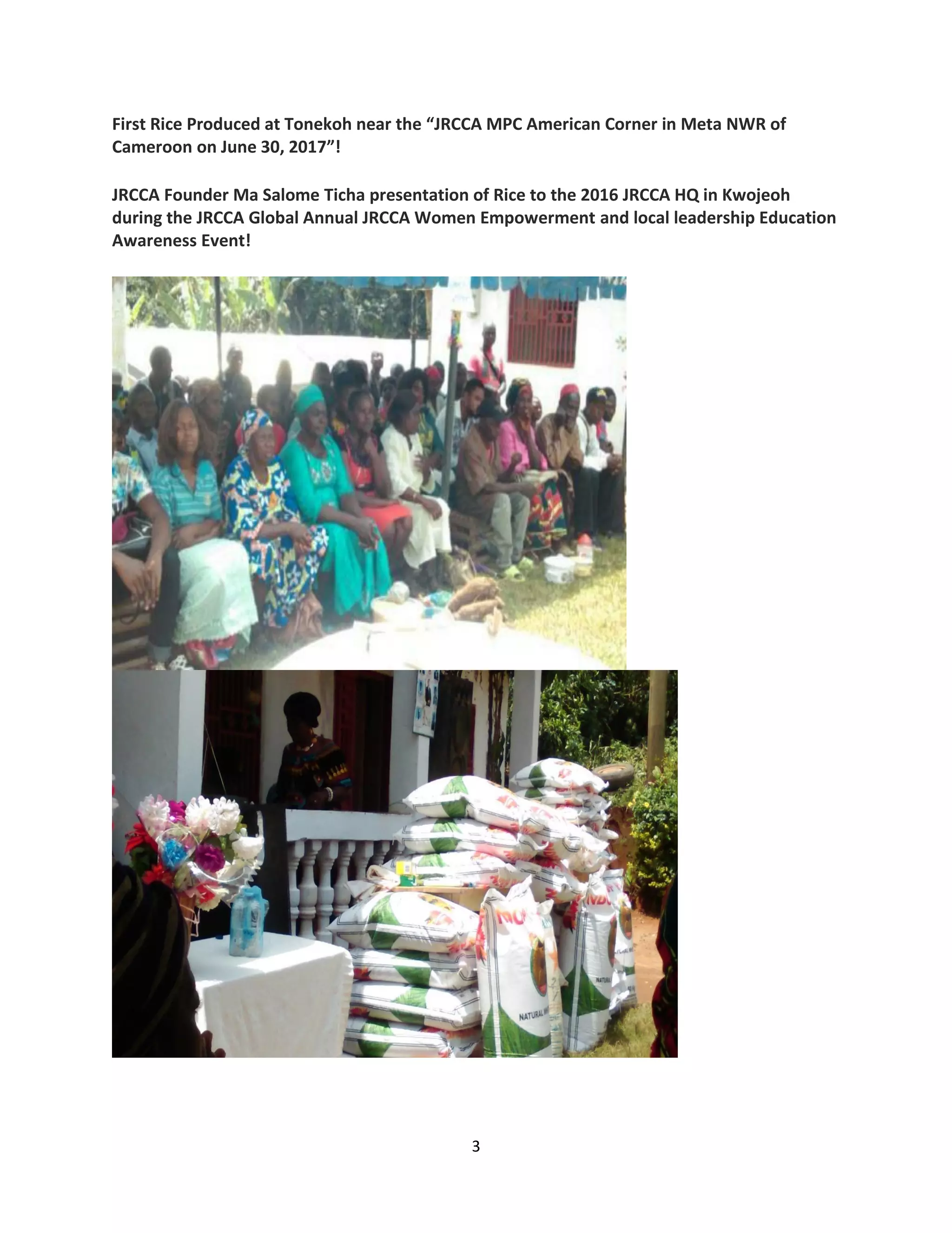 Breaking news first rice grown in tonekoh meta momo division cameroon ...