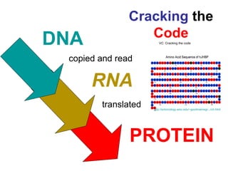 Breaking the code | PPT