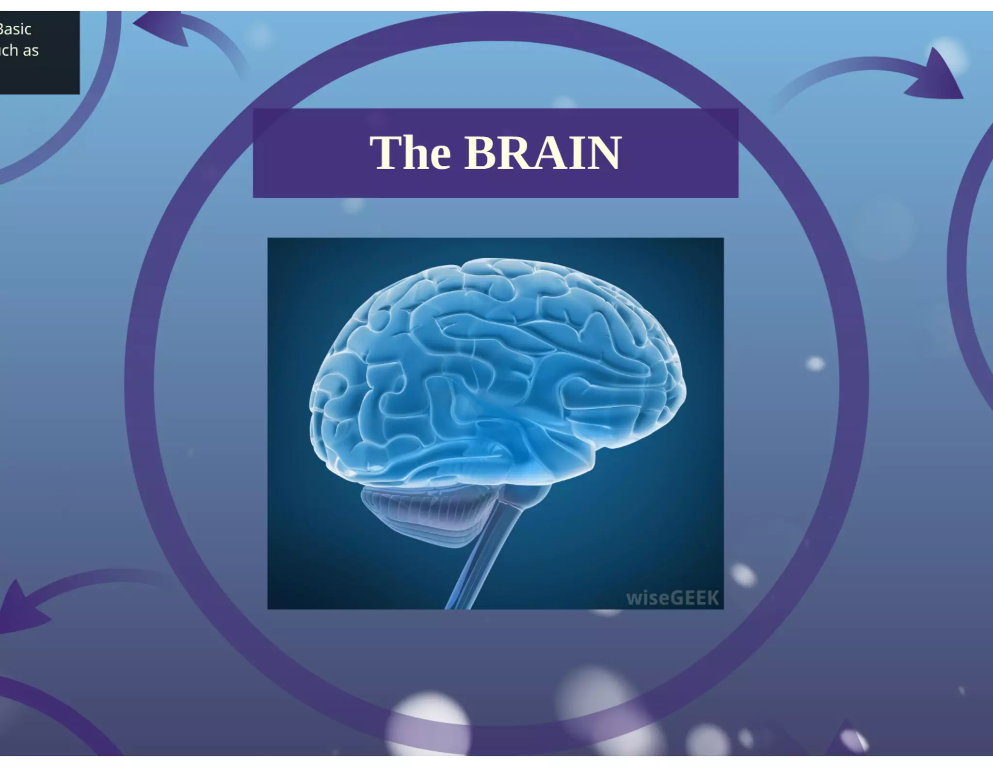 Police culture and the psychology of fear | PDF