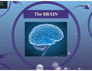 Police culture and the psychology of fear | PDF