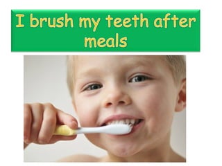 Three meals a day | PPT