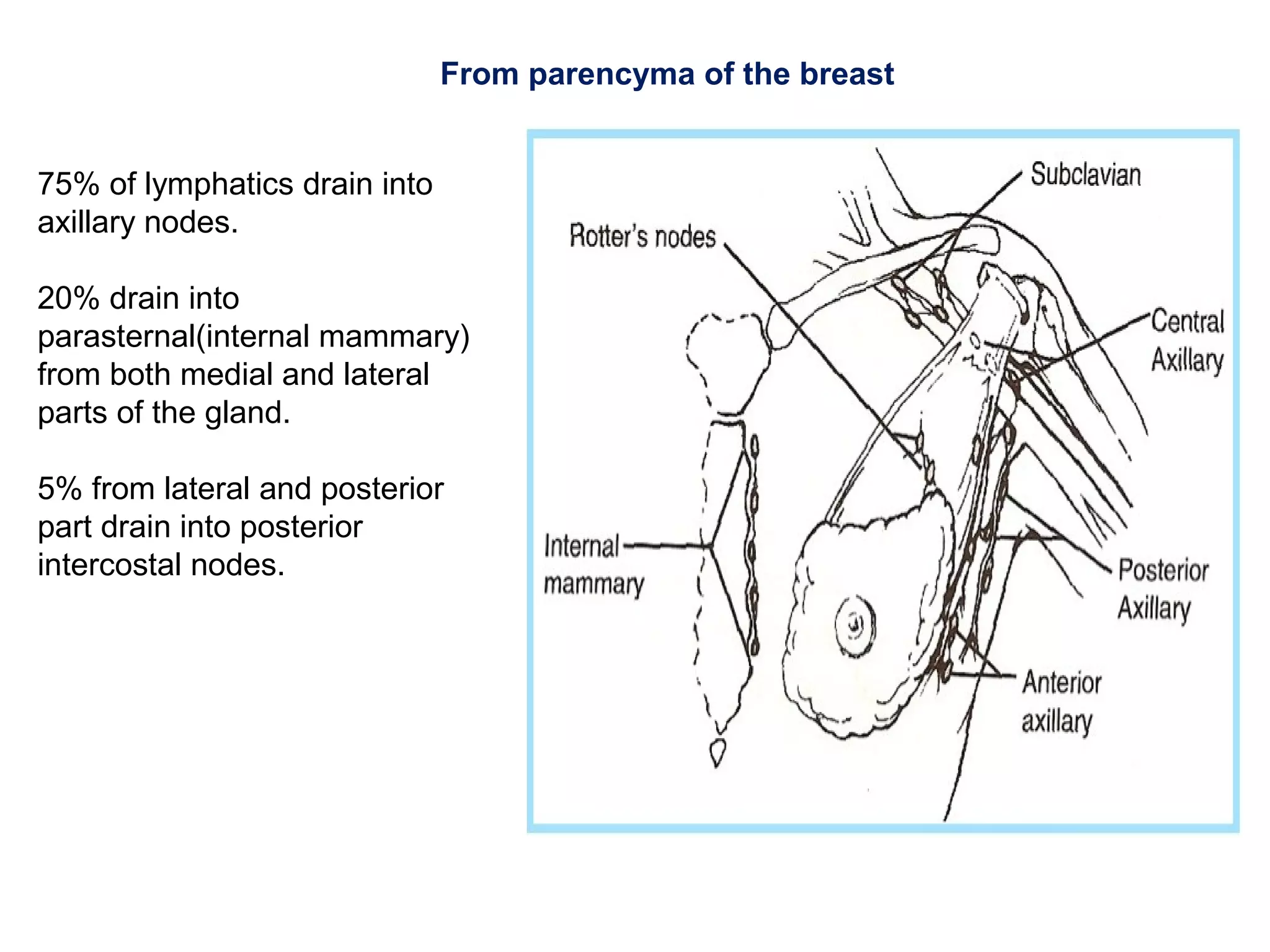 Breast | PPT