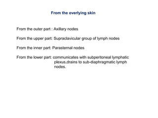 Breast | PPT