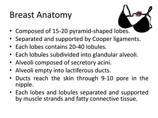 Breast anatomy&physiology | PPSX