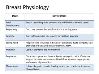 Breast anatomy&physiology | PPSX