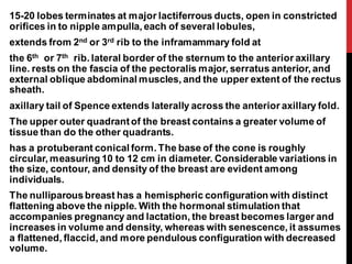 breast.pdf