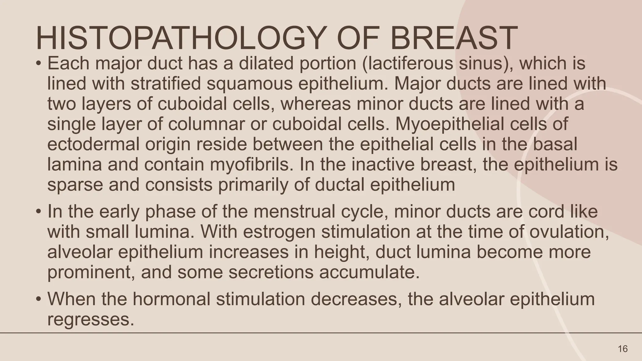 Breast cancer with anatomy physiology and staging .pptx