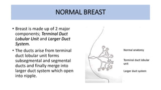 normal and malignant cytology of breast, cytology | PPTX