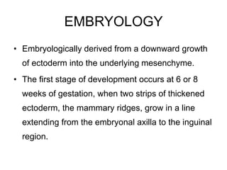Breast - Anatomy and Phsiology with Congenital anomalies - Dr ...