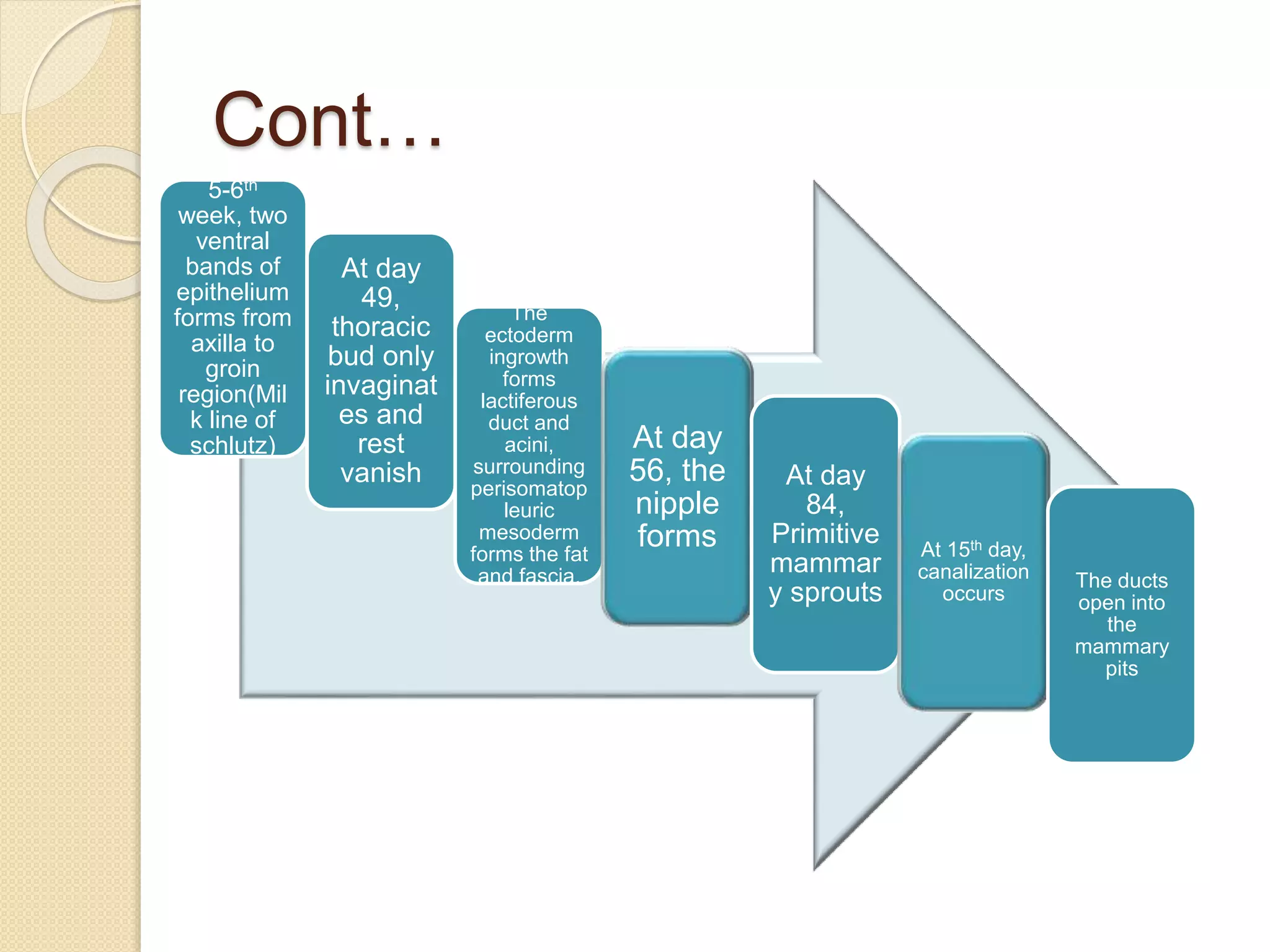 BREAST - ANATOMY AND PHYSIOLOGY.pptx