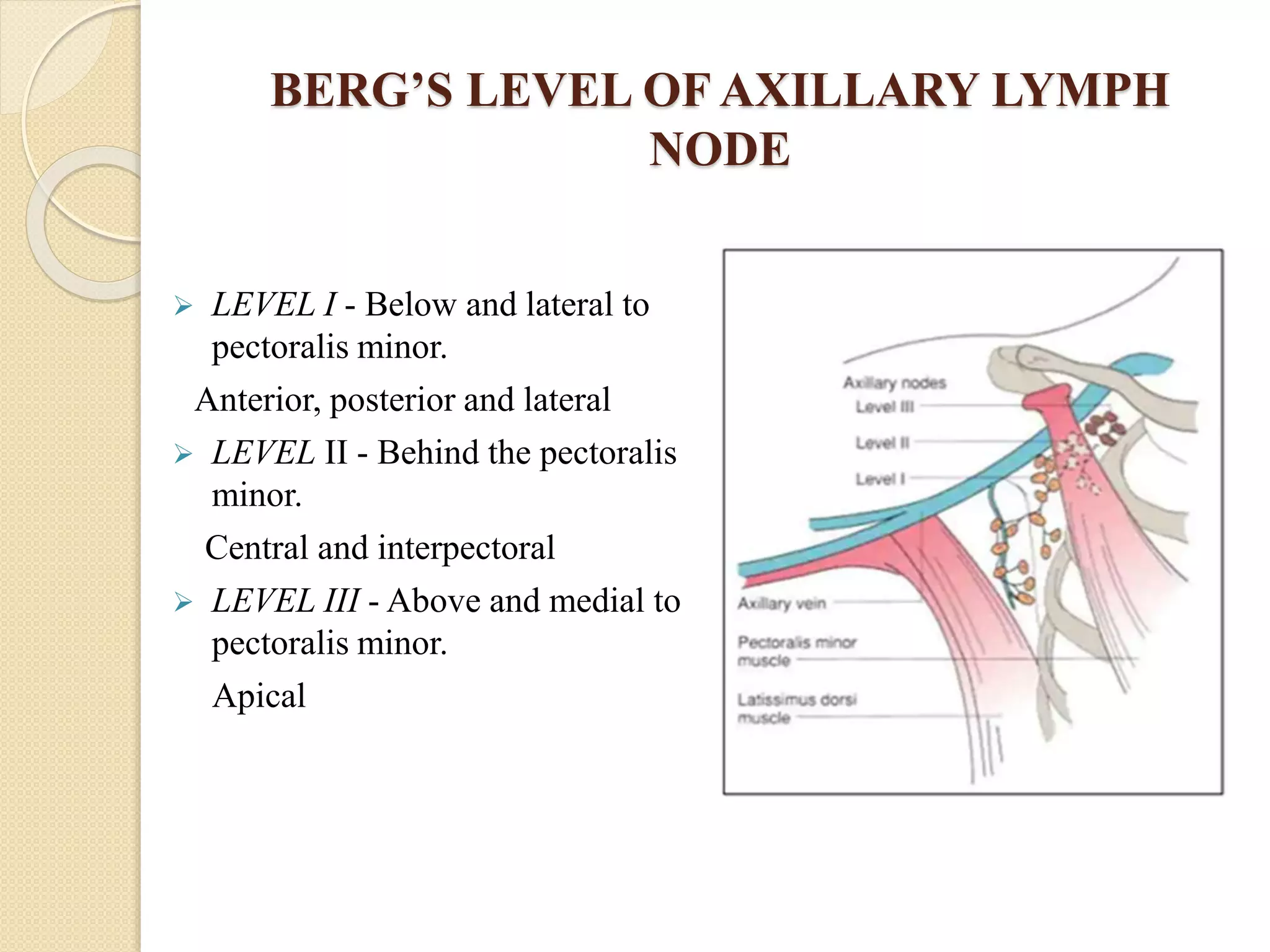 BREAST - ANATOMY AND PHYSIOLOGY.pptx
