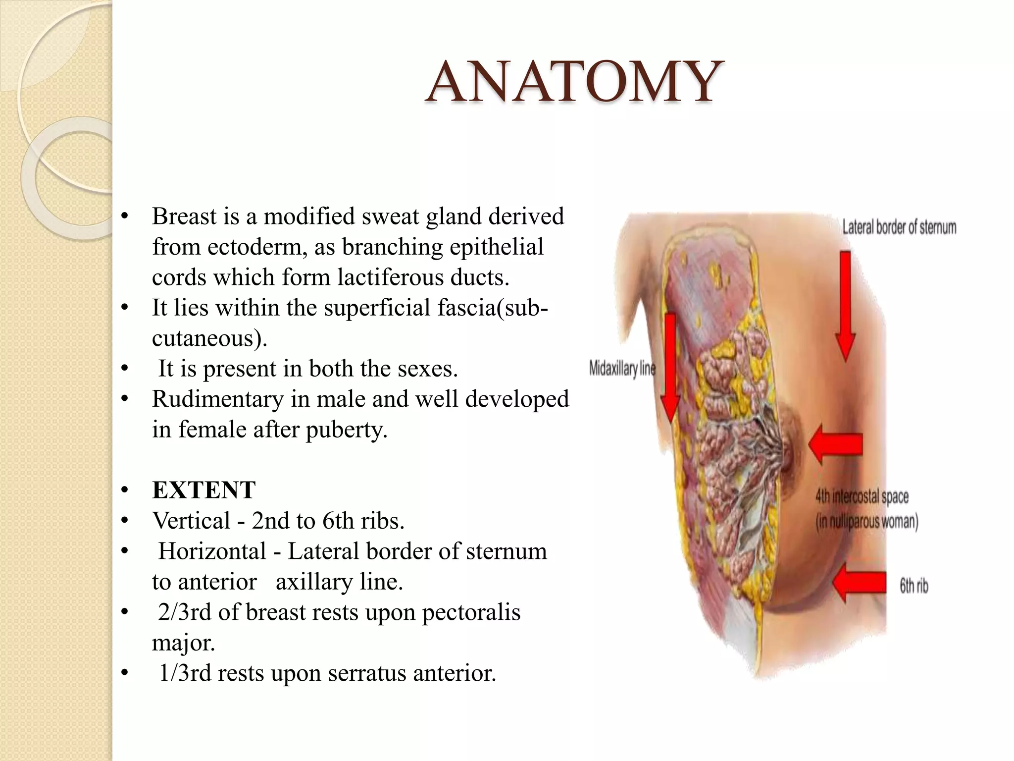BREAST - ANATOMY AND PHYSIOLOGY.pptx
