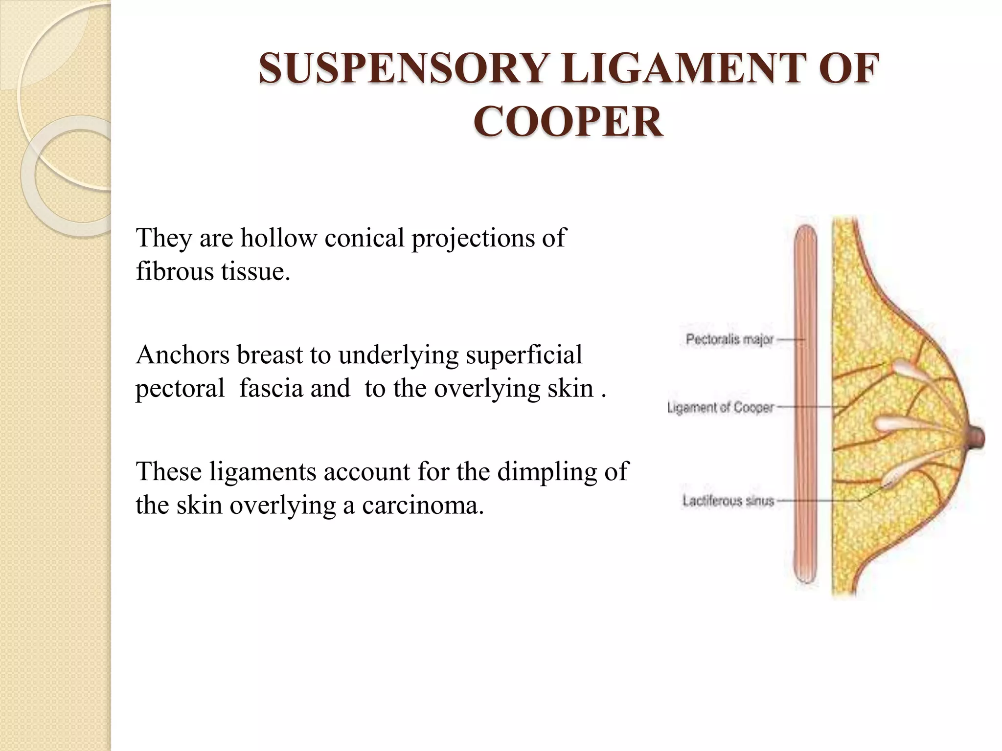 BREAST - ANATOMY AND PHYSIOLOGY.pptx