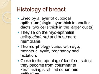 BREAST - ANATOMY AND PHYSIOLOGY.pptx