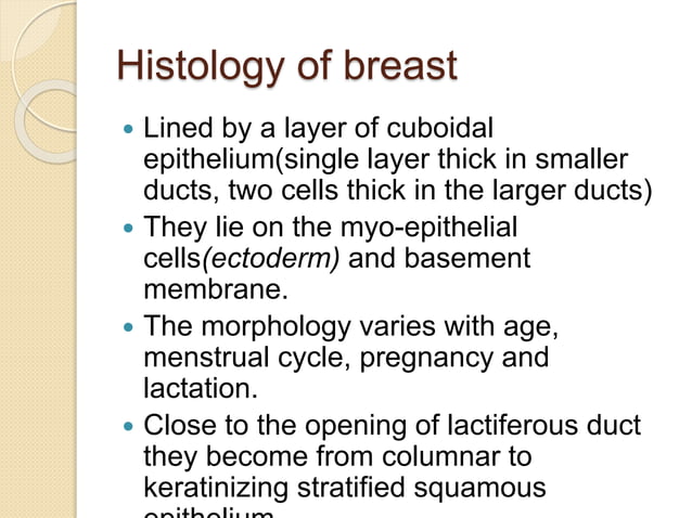 BREAST - ANATOMY AND PHYSIOLOGY.pptx | Biological Sciences | Science