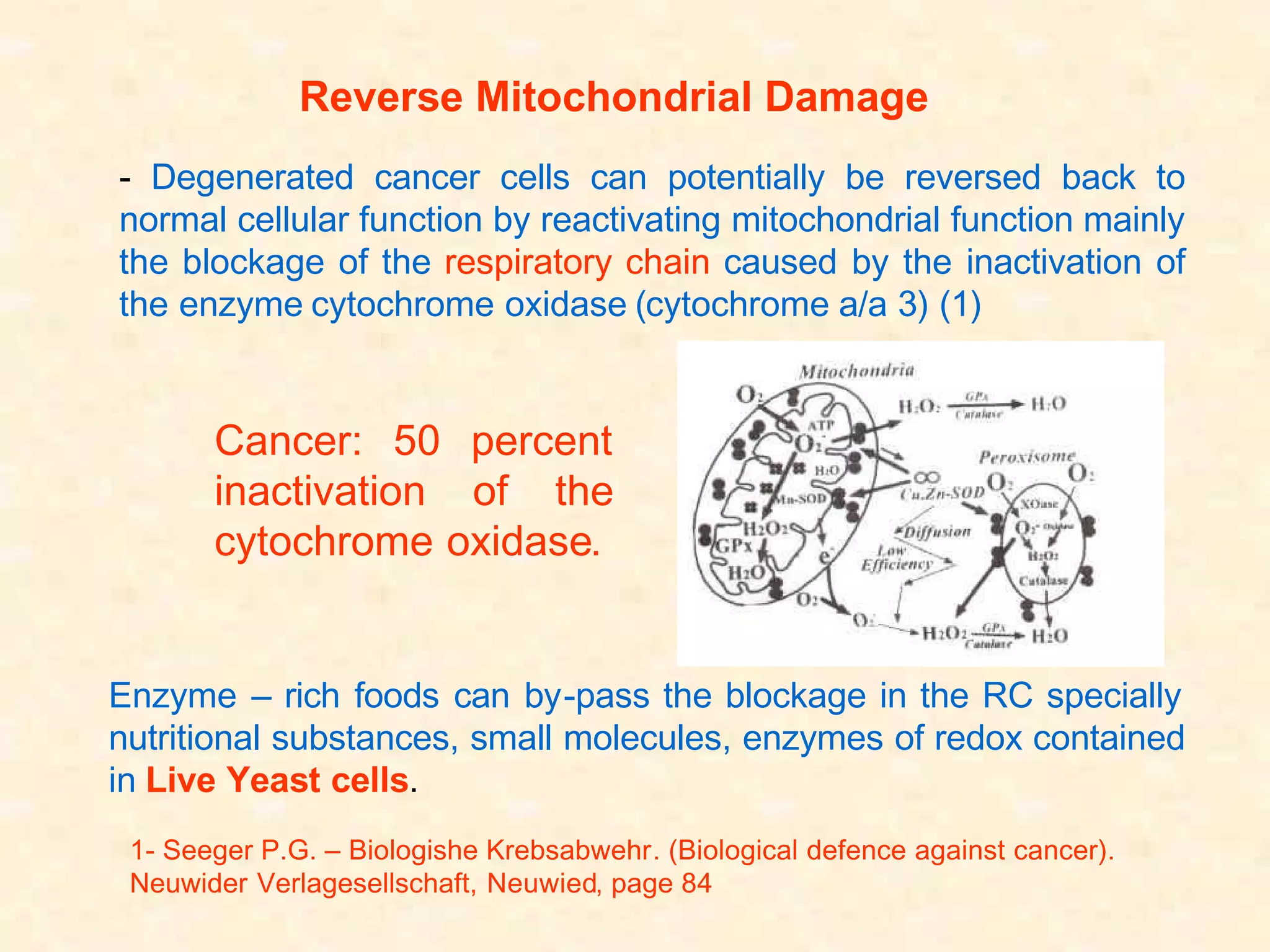 Breast Cancer Theory, Profiling Through Iridology & Therapies | PDF