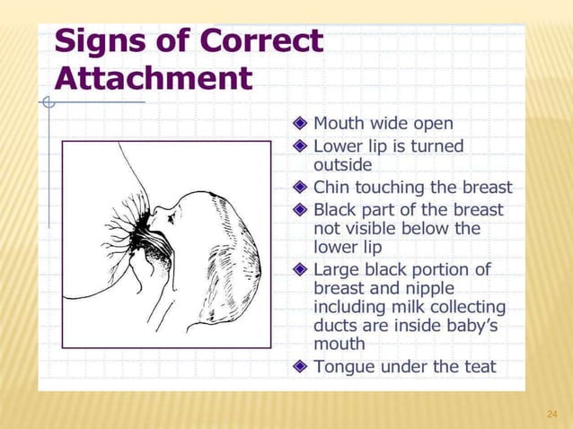 breast-feeding-techniques-and-positions.pptx | Pregnancy | Reproductive ...