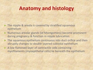 Breast introduction 1 | PPTX