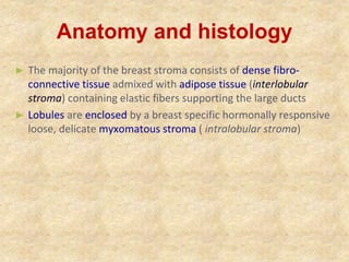 Breast introduction 1 | PPTX | Medical Health