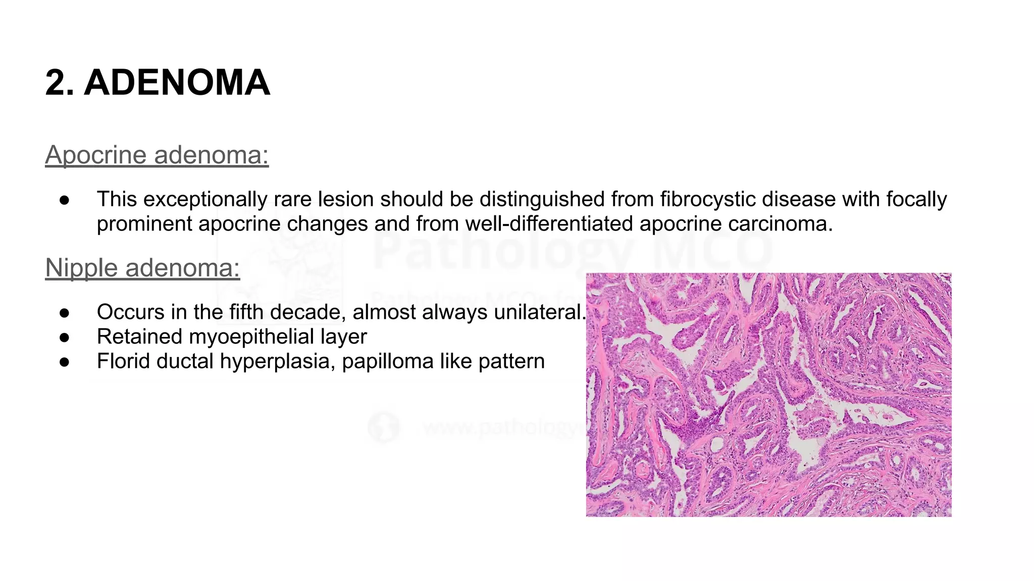 BREAST-PATHOLOGY-benign-proliferative-lesions.pdf