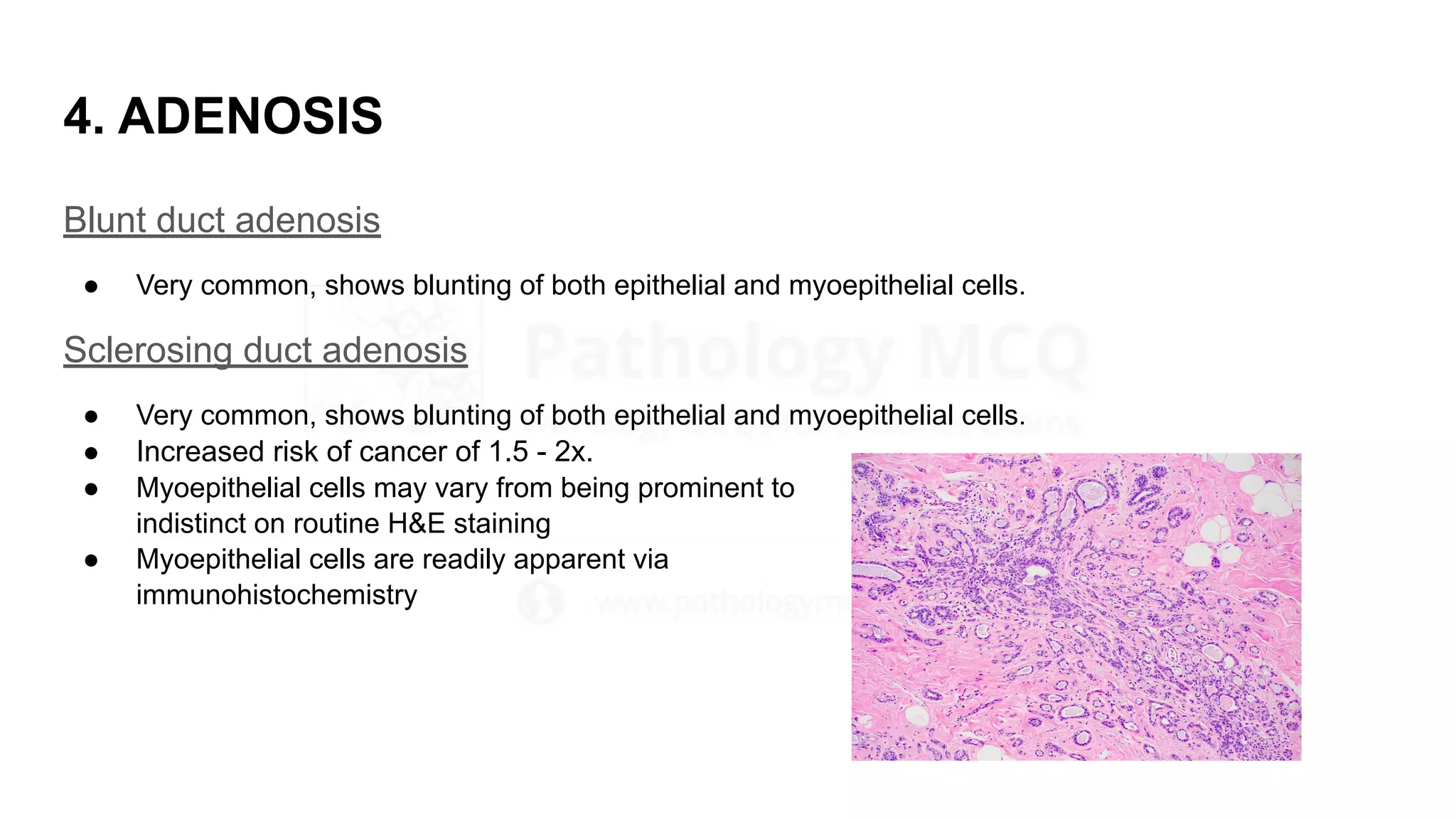 BREAST-PATHOLOGY-benign-proliferative-lesions.pdf