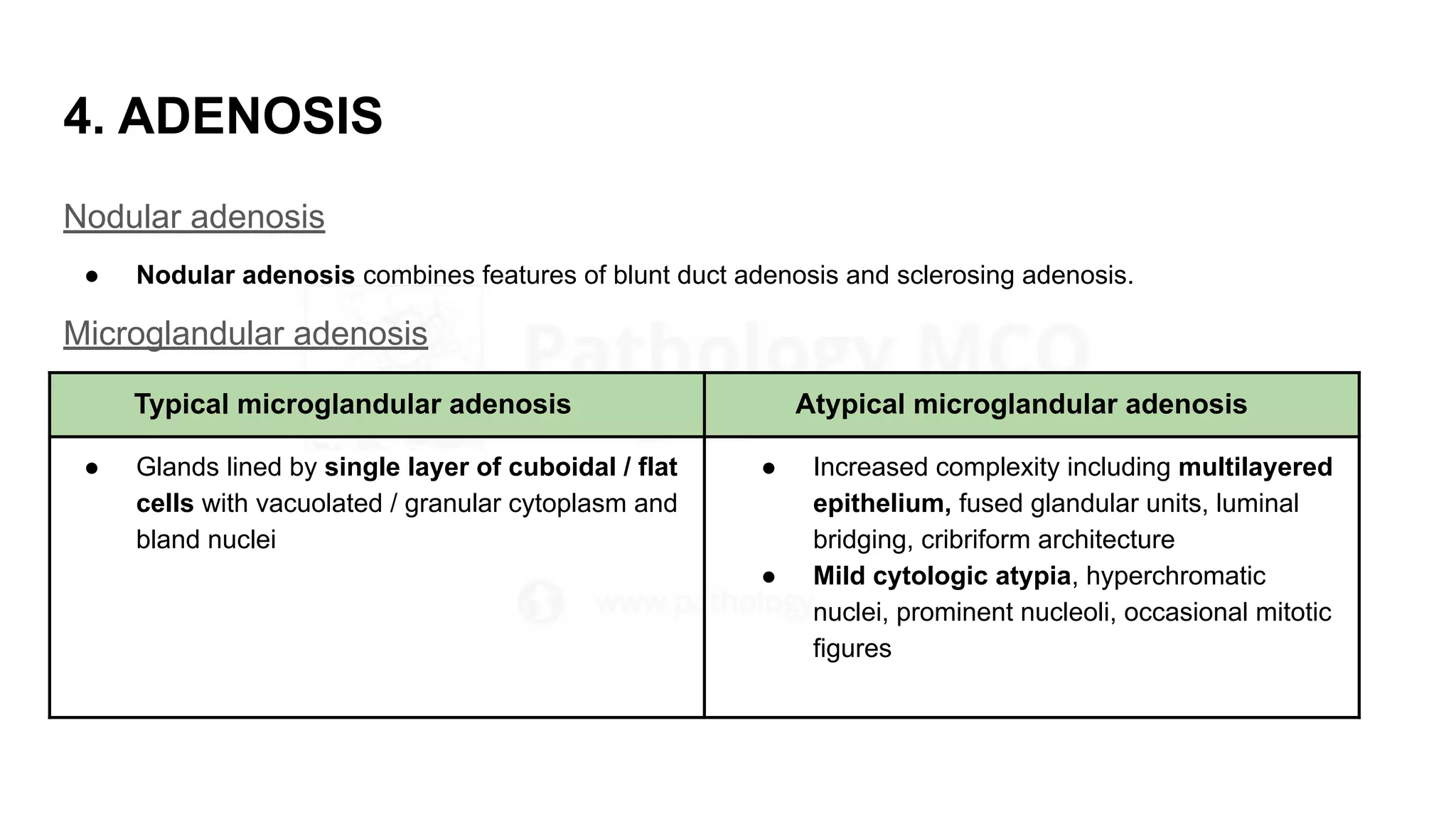 BREAST-PATHOLOGY-benign-proliferative-lesions.pdf