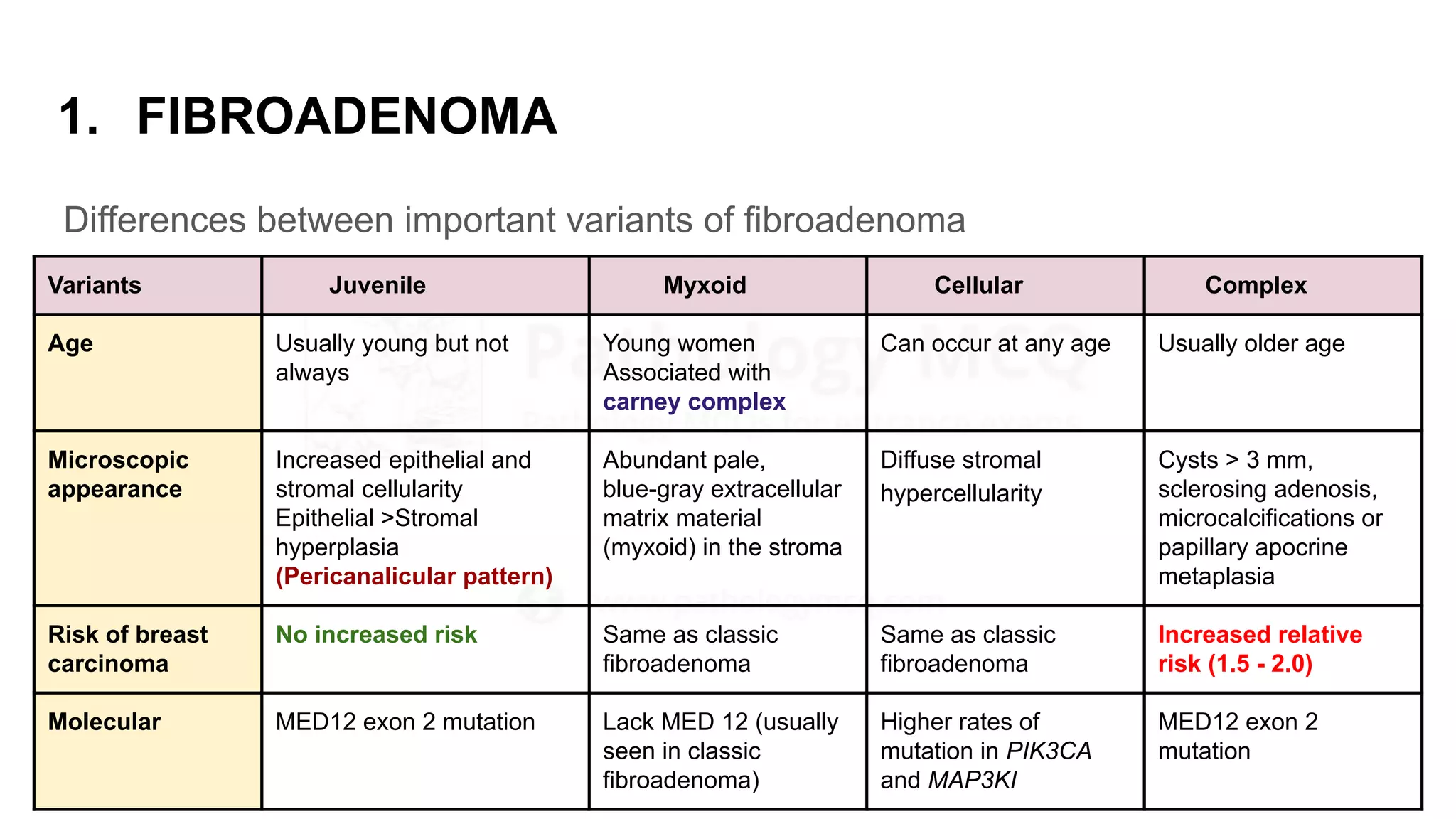 BREAST-PATHOLOGY-benign-proliferative-lesions.pdf