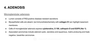 BREAST-PATHOLOGY-benign-proliferative-lesions.pdf