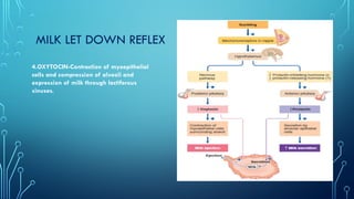 Breast-Pathology and pathophysiology.pptx