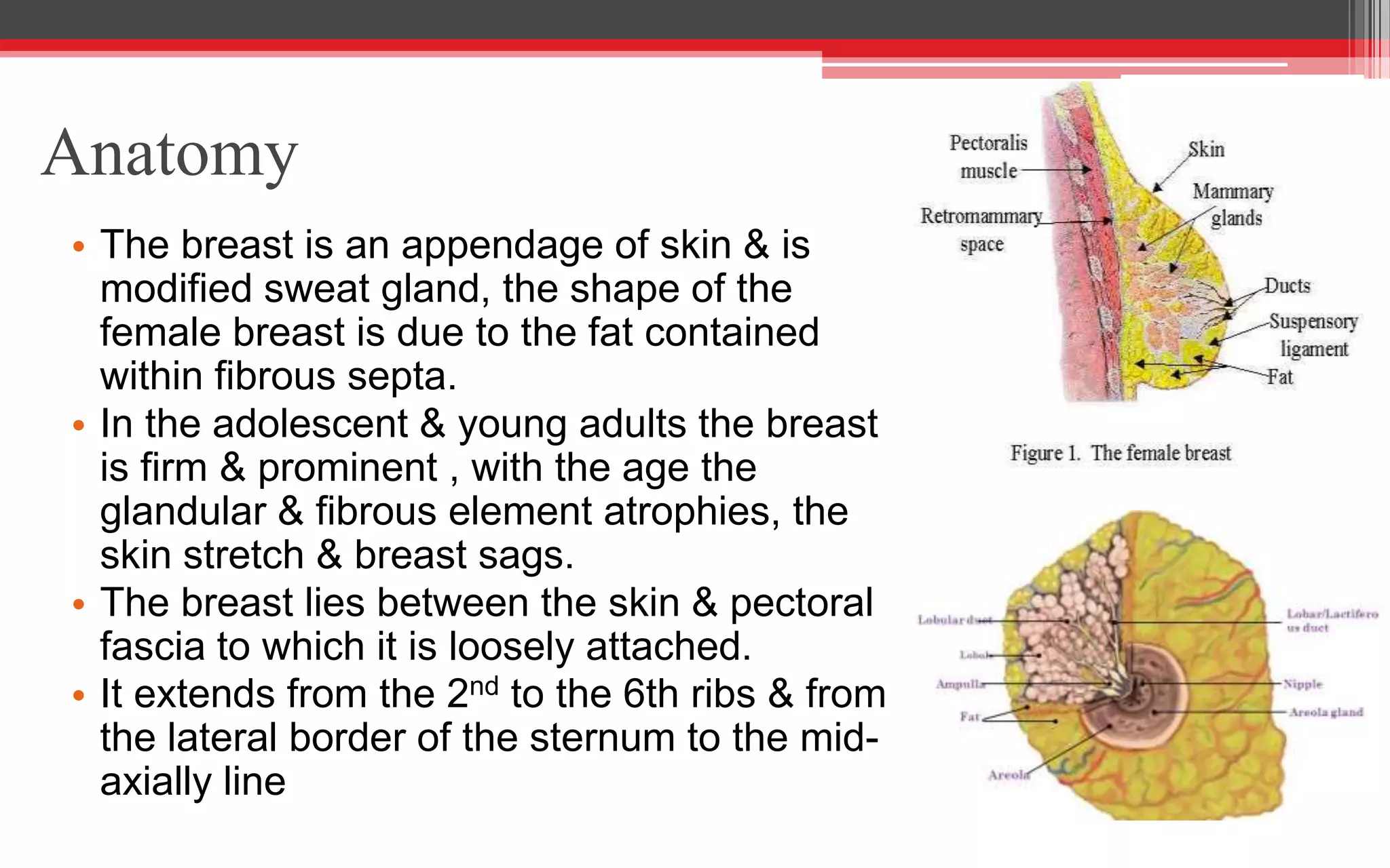 Breast Abscess | PPTX