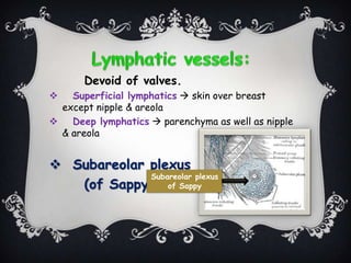 Breast anatomy | PPTX
