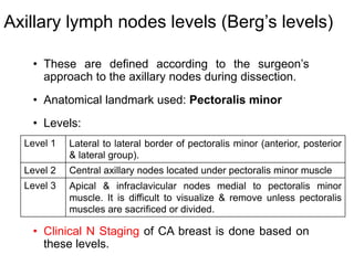 Axillary Lymph Nodes Levels