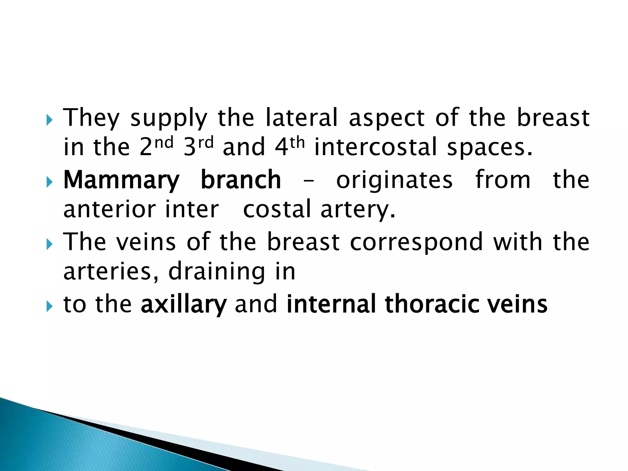ANATOMY OF MAMMARY GLAND | PPTX
