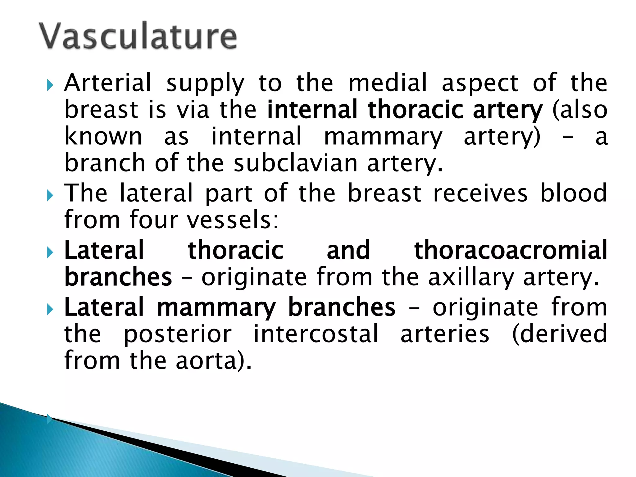 ANATOMY OF MAMMARY GLAND | PPTX