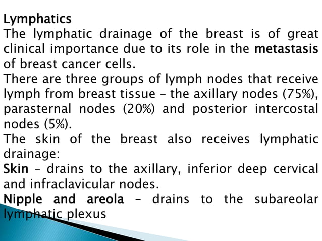 ANATOMY OF MAMMARY GLAND | PPTX