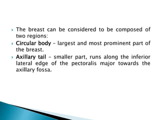 ANATOMY OF MAMMARY GLAND | PPTX