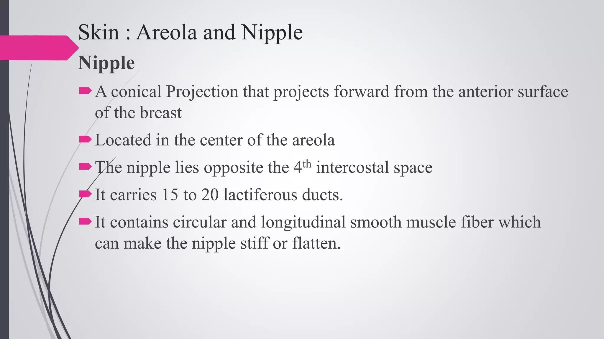 BREAST ANATOMY | PPTX