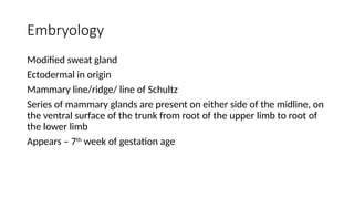 BREAST ANATOMY HISTOLOGY EMBRYOLOGY.pptx