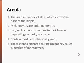 Breast anatomy by sanaullah shaikh | PPT