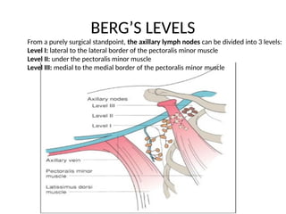 Breast Anatomy & Lymphatics_For surgical oncology | PPTX