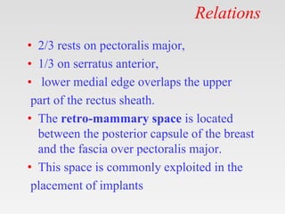 Breast Anatomy Physiology.pptx | Pregnancy | Reproductive Health
