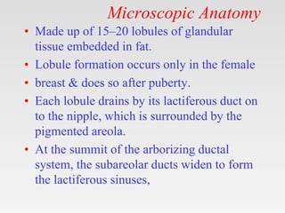 Breast Anatomy Physiology.pptx
