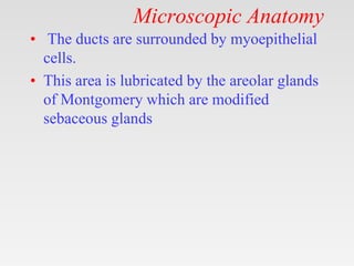 Breast Anatomy Physiology.pptx