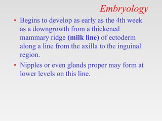 Breast Anatomy Physiology.pptx | Pregnancy | Reproductive Health