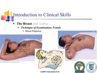 Breast and axillae | PPT